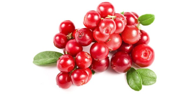 Goji bobice – najzdravije bobice na svijetu | Vijesti Hercegovina.Info