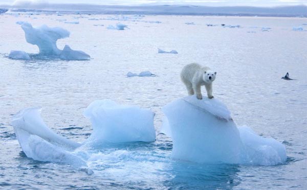 Visoke temperature na Arktiku otopile led veličine Floride ...