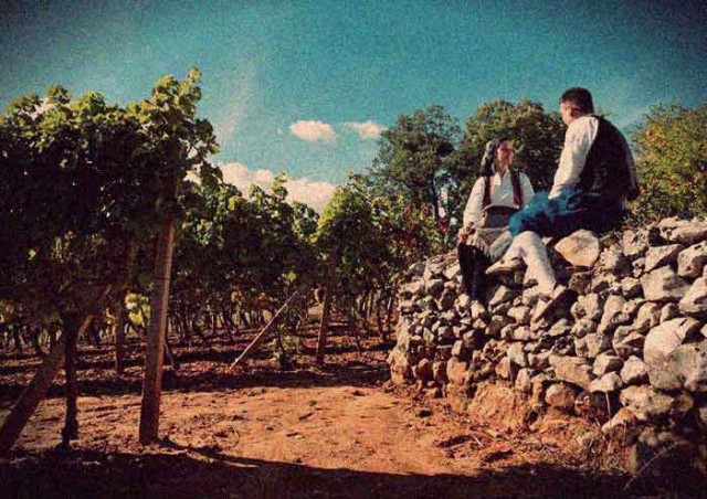 Priča iz Hercegovine:Bolje da nestane selo nego običaji | Vijesti ...