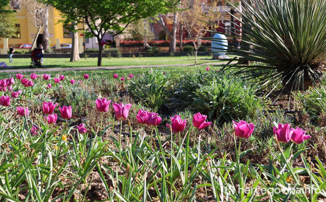 BIH Najnovije | Vijesti Hercegovina.Info