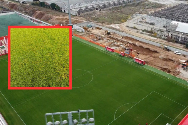 VIDEO Kako je oštećen travnjak stadiona Rođeni? | Vijesti Hercegovina.Info